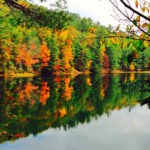 The Top 10 Things To Do At Watoga State Park — Part One
