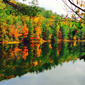 The Top 10 Things To Do At Watoga State Park — Part One