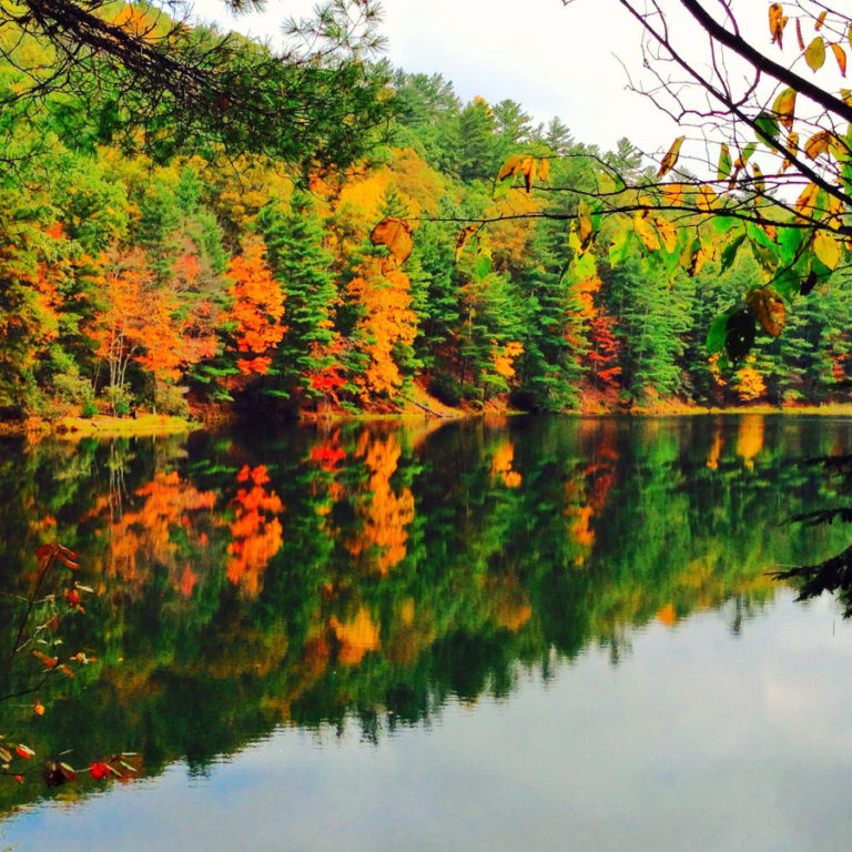 The Top 10 Things To Do At Watoga State Park — Part One